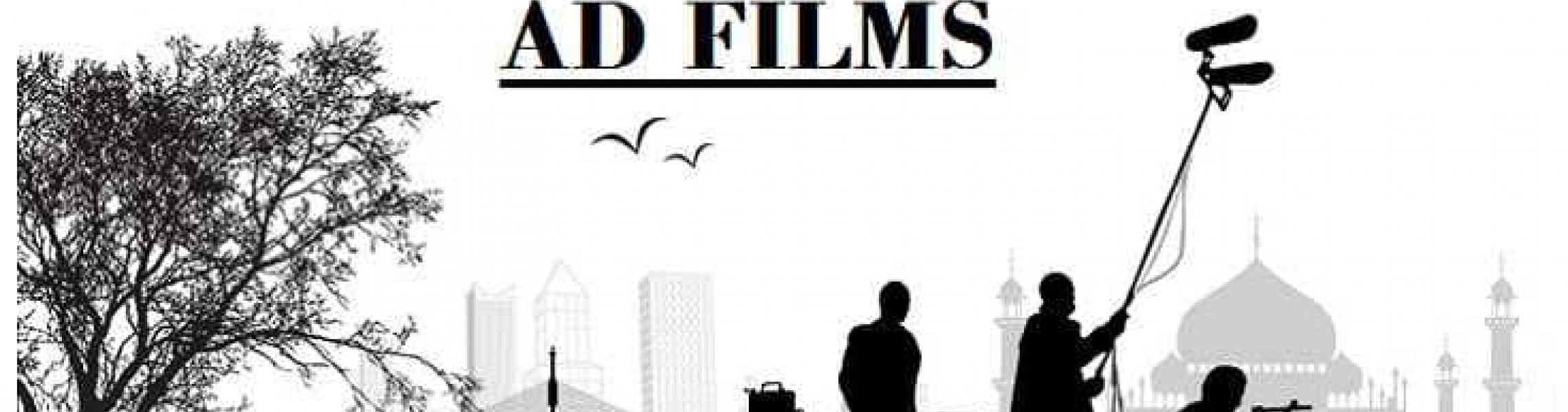 Role of Ad Films & Creatives - Elyts