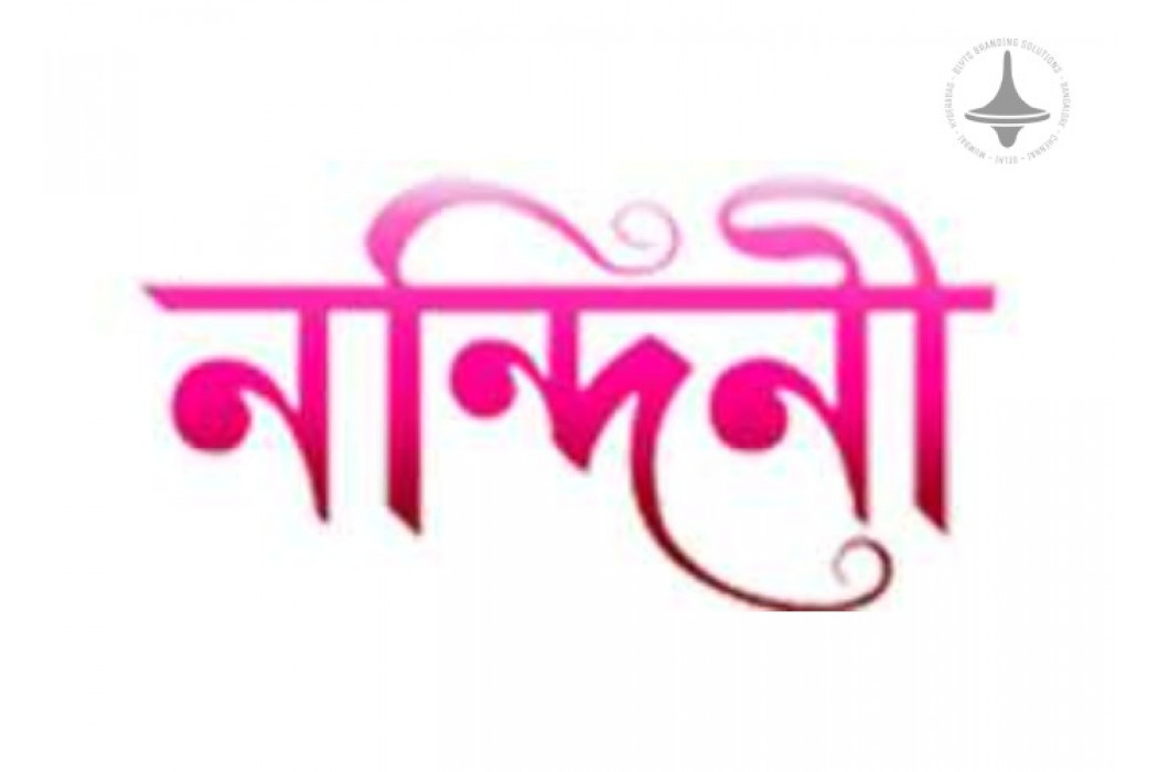 Nandini Online social media advertising and digital marketing in ...